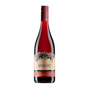 Hochwertiger Wein günstig im Sortiment von ALDI Nord