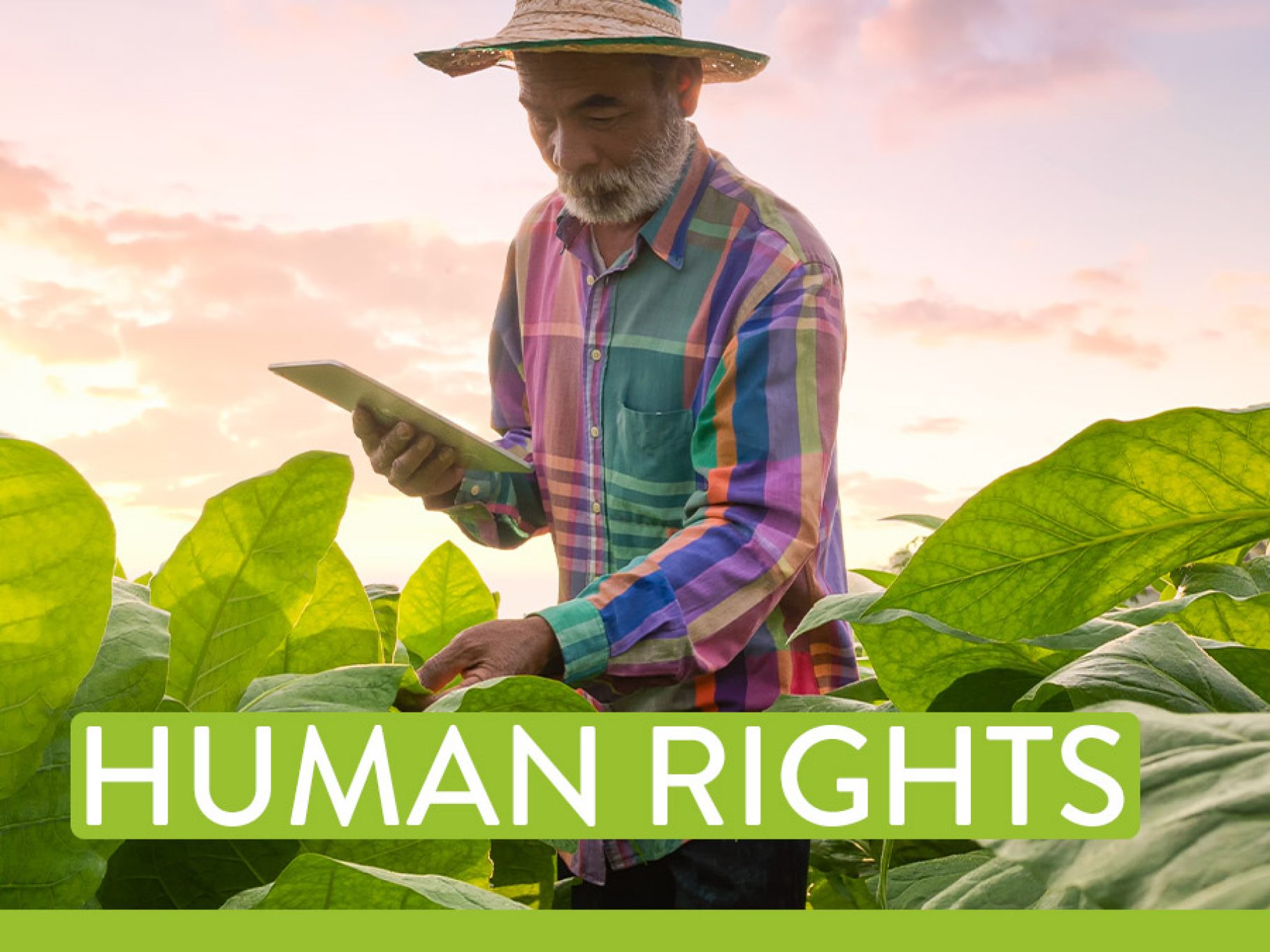 Human Rights Policy Statement