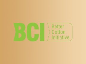 zertifikate-vorbereitung