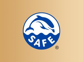 zertifikate-vorbereitung