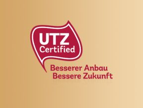 zertifikate-vorbereitung