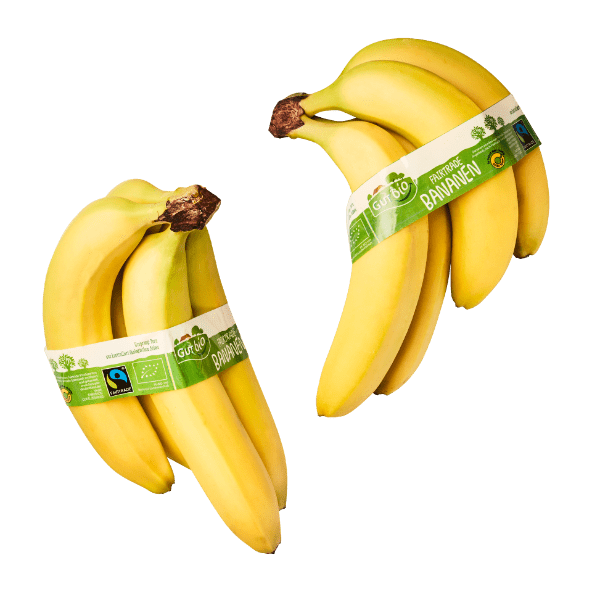 Angebot Aldi Nord GUT BIO Bio-Bananen, Fairtrade Aldi Nord
