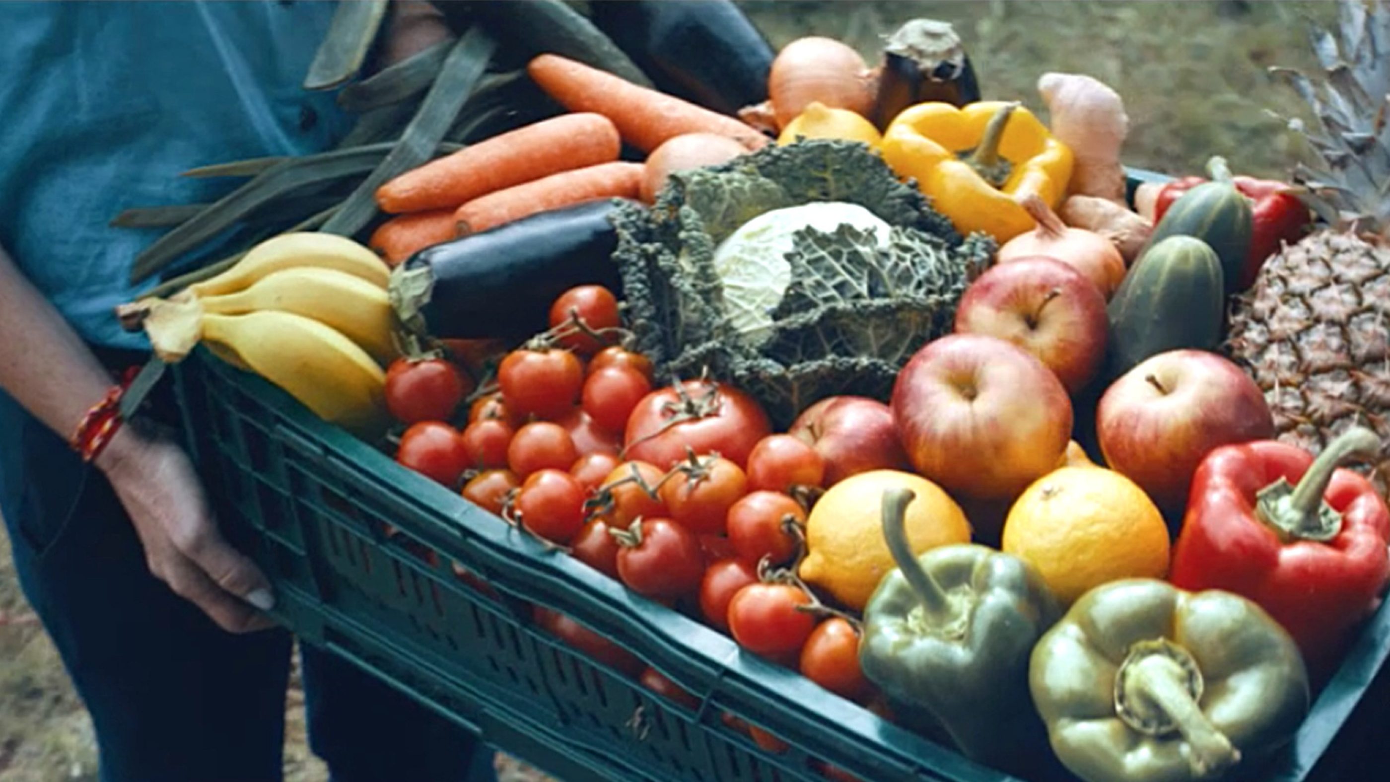 Frische und Qualität.